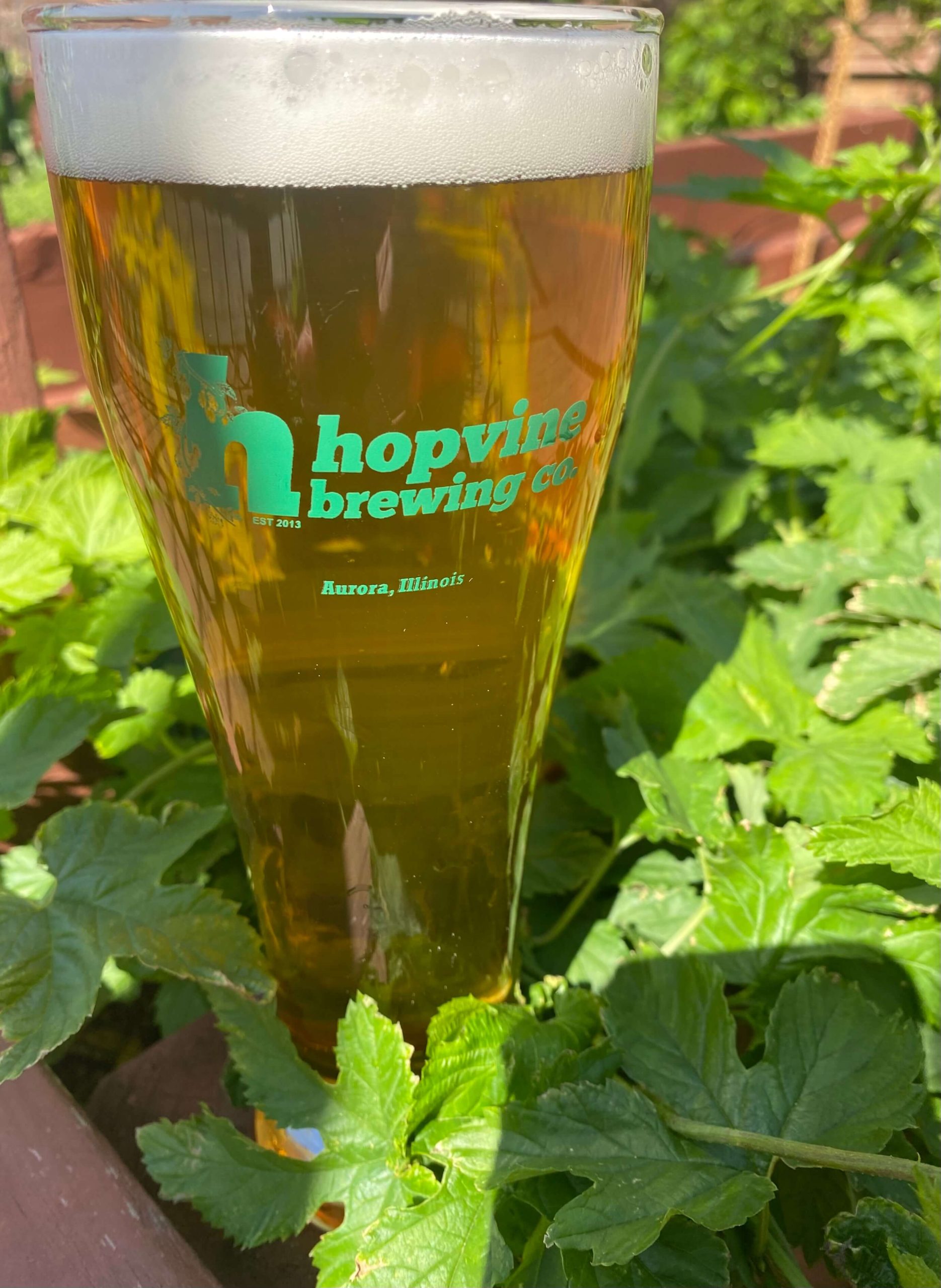 Fiesta Party, Mexican Lager - Hopvine Brewing Co